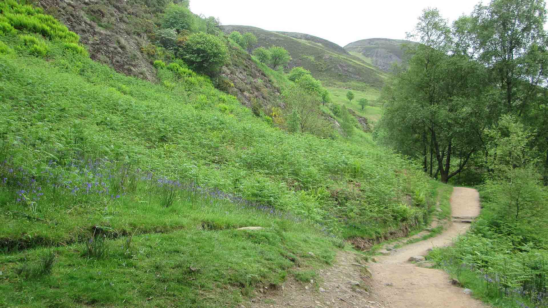 The Conic Hill Walk: A Step-By-Step Hiking Adventure